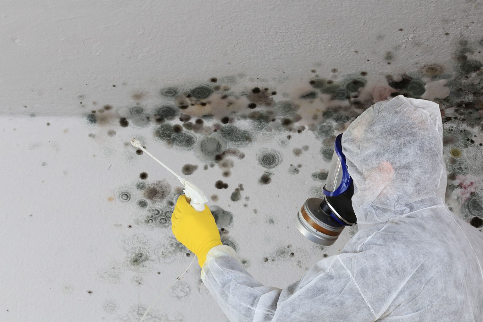 Water, Mold, Fire Damage Restoration South FL | First Call 24/7 Inc.